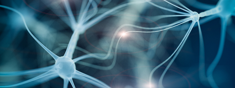 Shaking Palsy, aka Parkinson's Disease, is Still a Mystery | RAPS